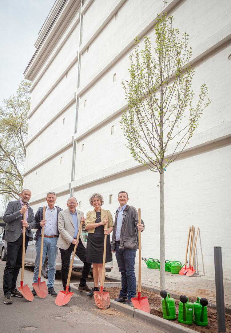 BUGA-23-Bäume werden im Stadtgebiet gepflanzt | Mannheim.de